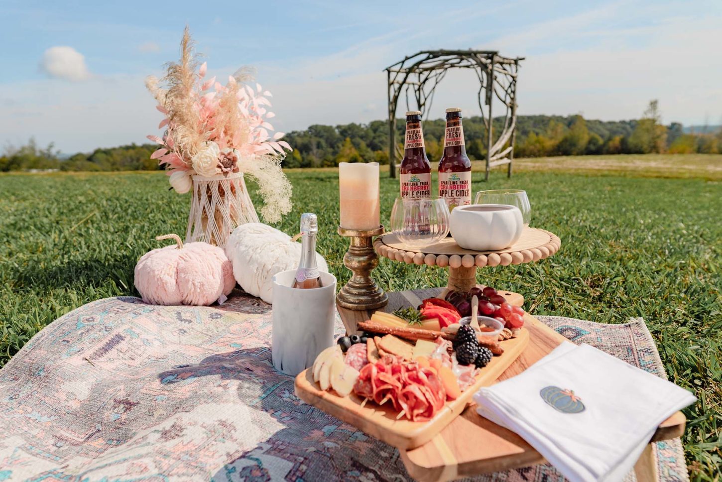 Scenic Flight & Picnic in a Romantic Country Setting | Scenic ...